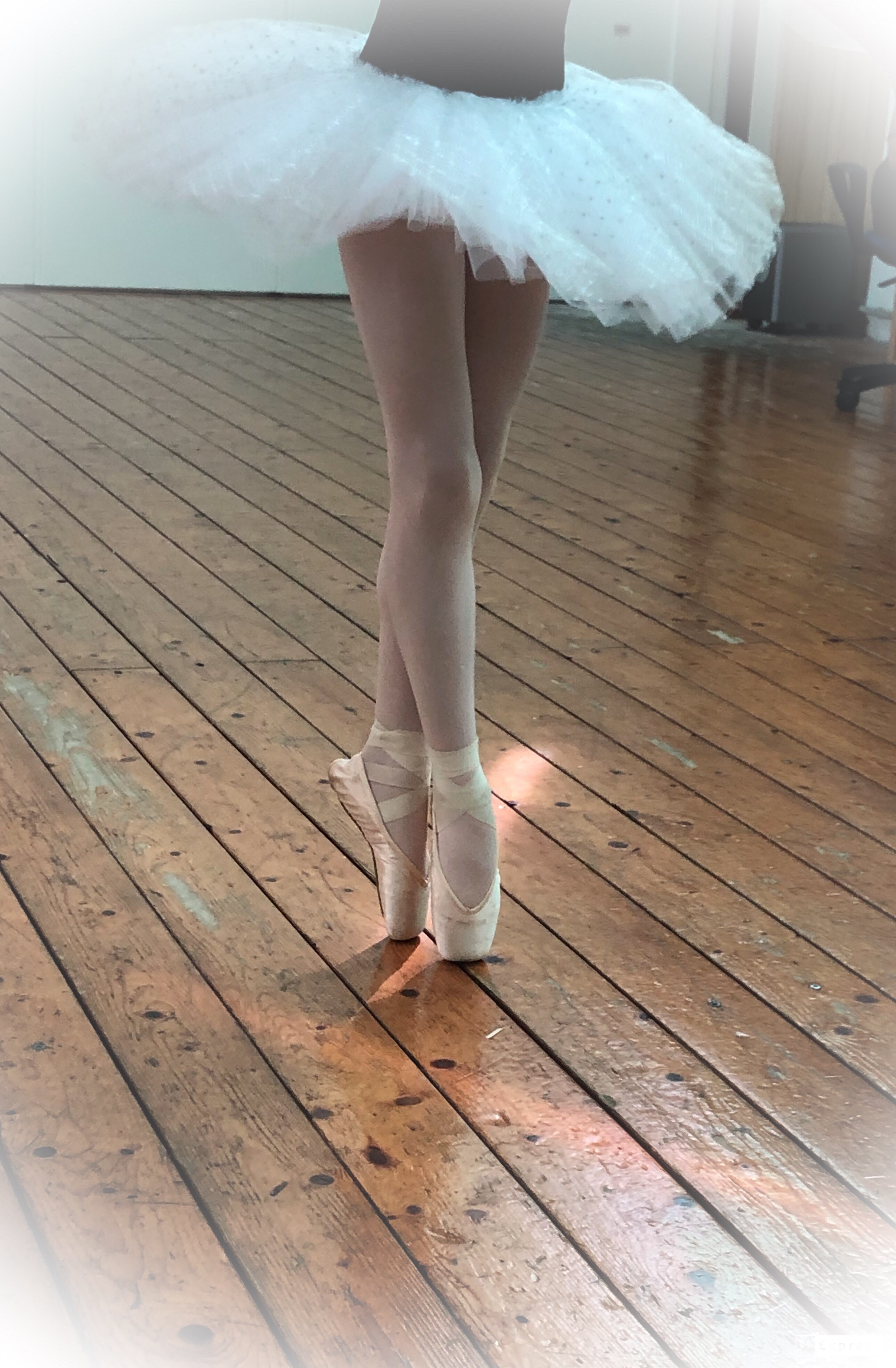 6/12 - PICCOLO CIGNO - Fondazione Teatro Goldoni